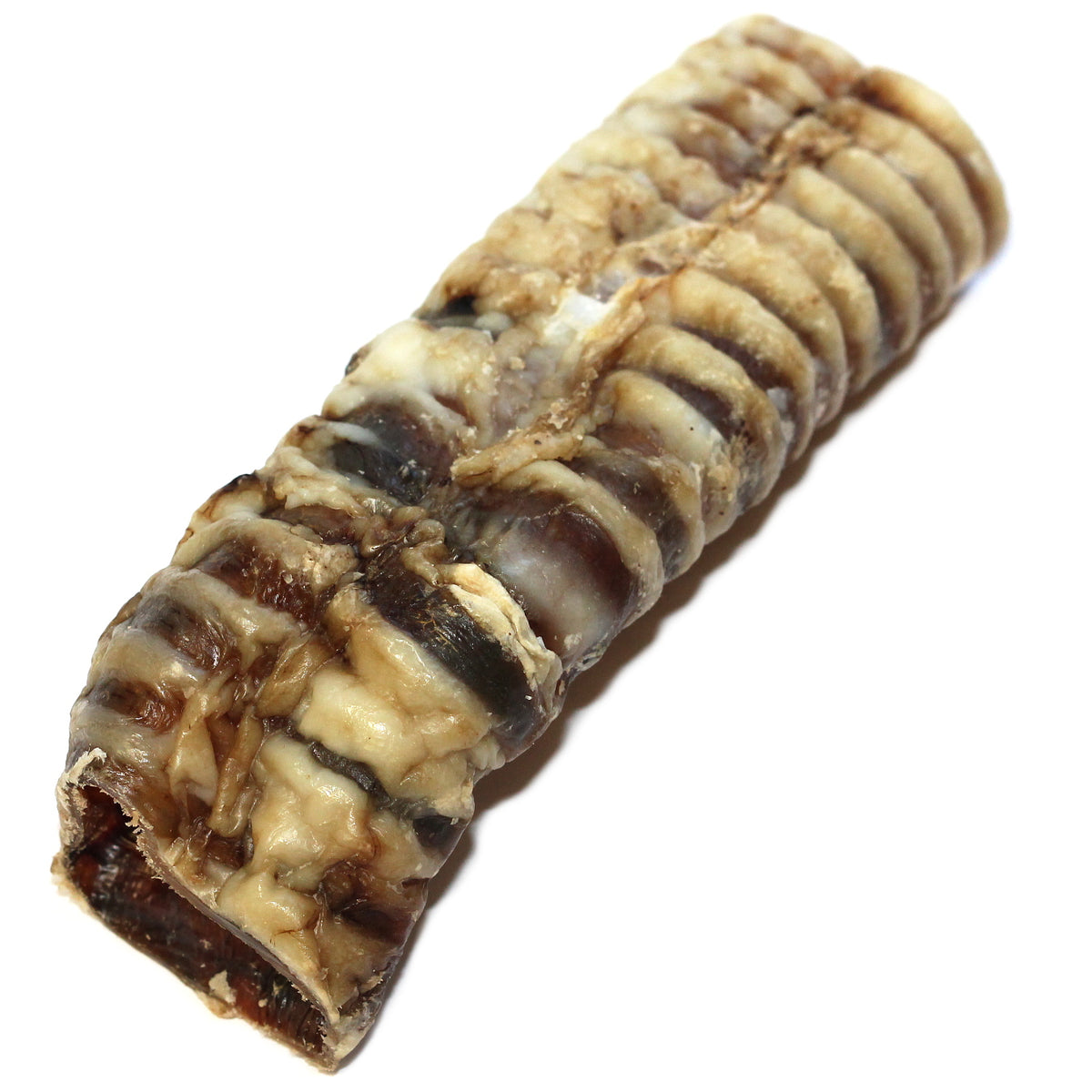 6" Beef Trachea (Bulk) – Tuesday's Natural Dog Company