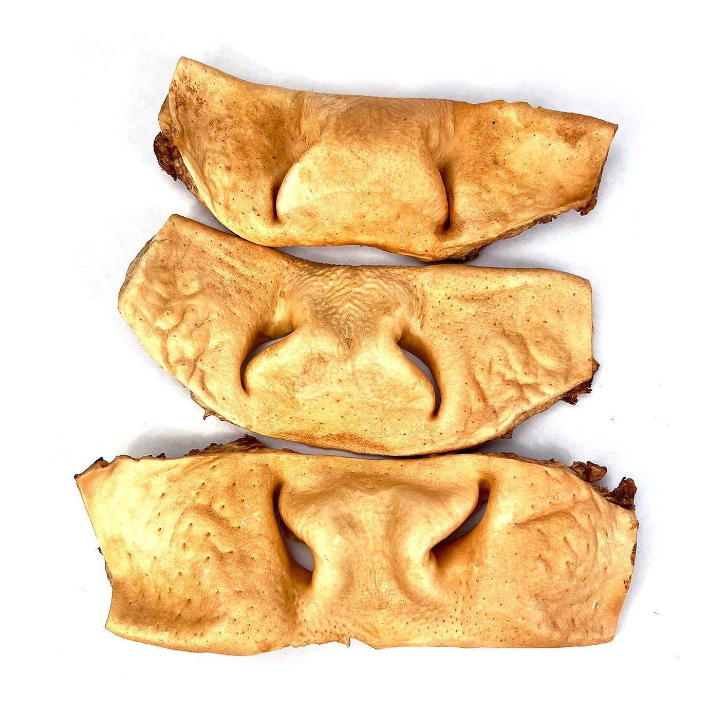 Beef Snouts (Bulk) – Tuesday's Natural Dog Company