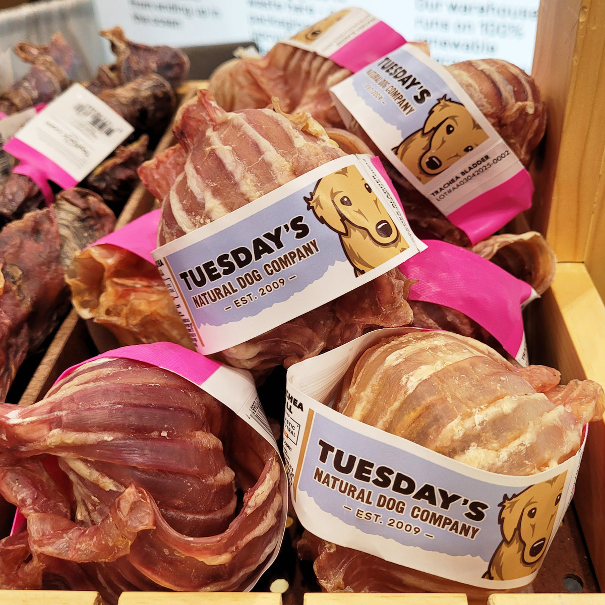 Beef Trachea Balls (Bulk) – Tuesday's Natural Dog Company