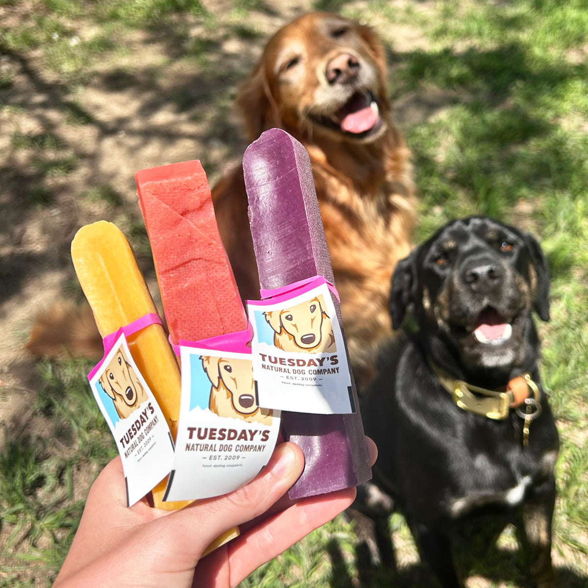 Pumpkin Yak Cheese - Medium (Bulk) – Tuesday's Natural Dog Company