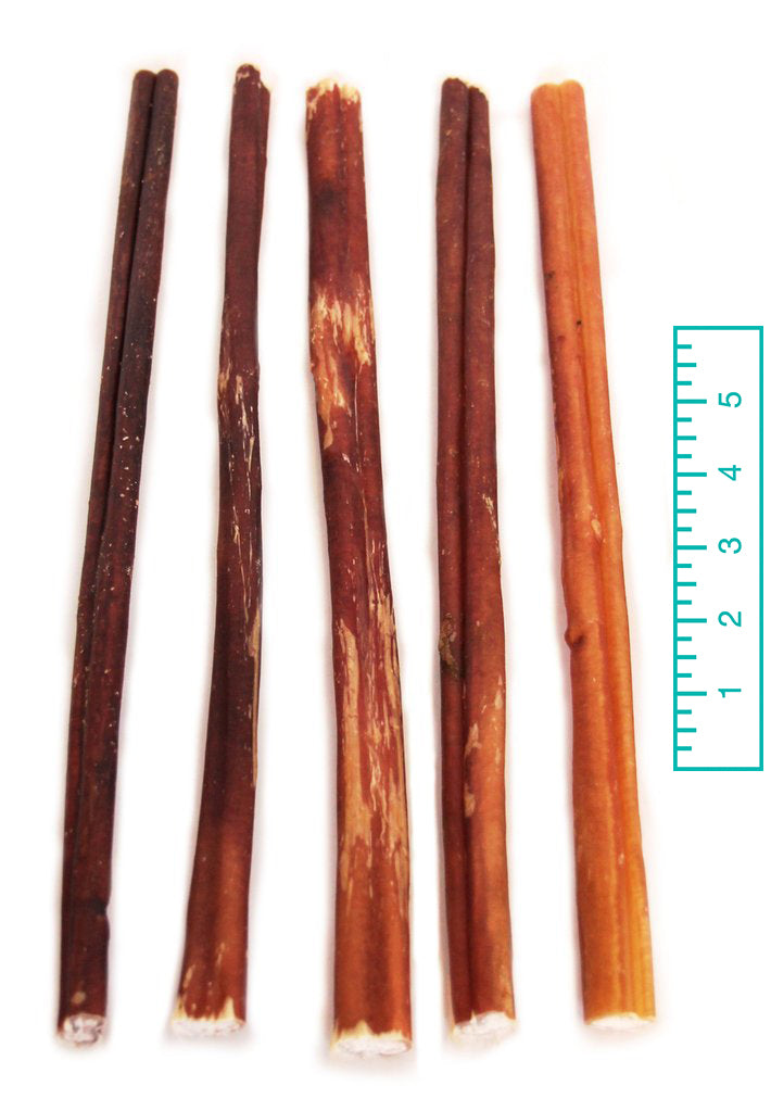 12" Bully Sticks Odor Free - 8 oz – Tuesday's Natural Dog Company