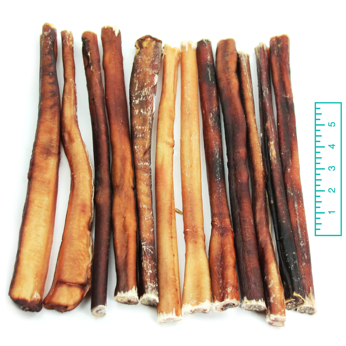 12" Thick Bully Sticks Odor Free - 16 oz – Tuesday's Natural Dog Company