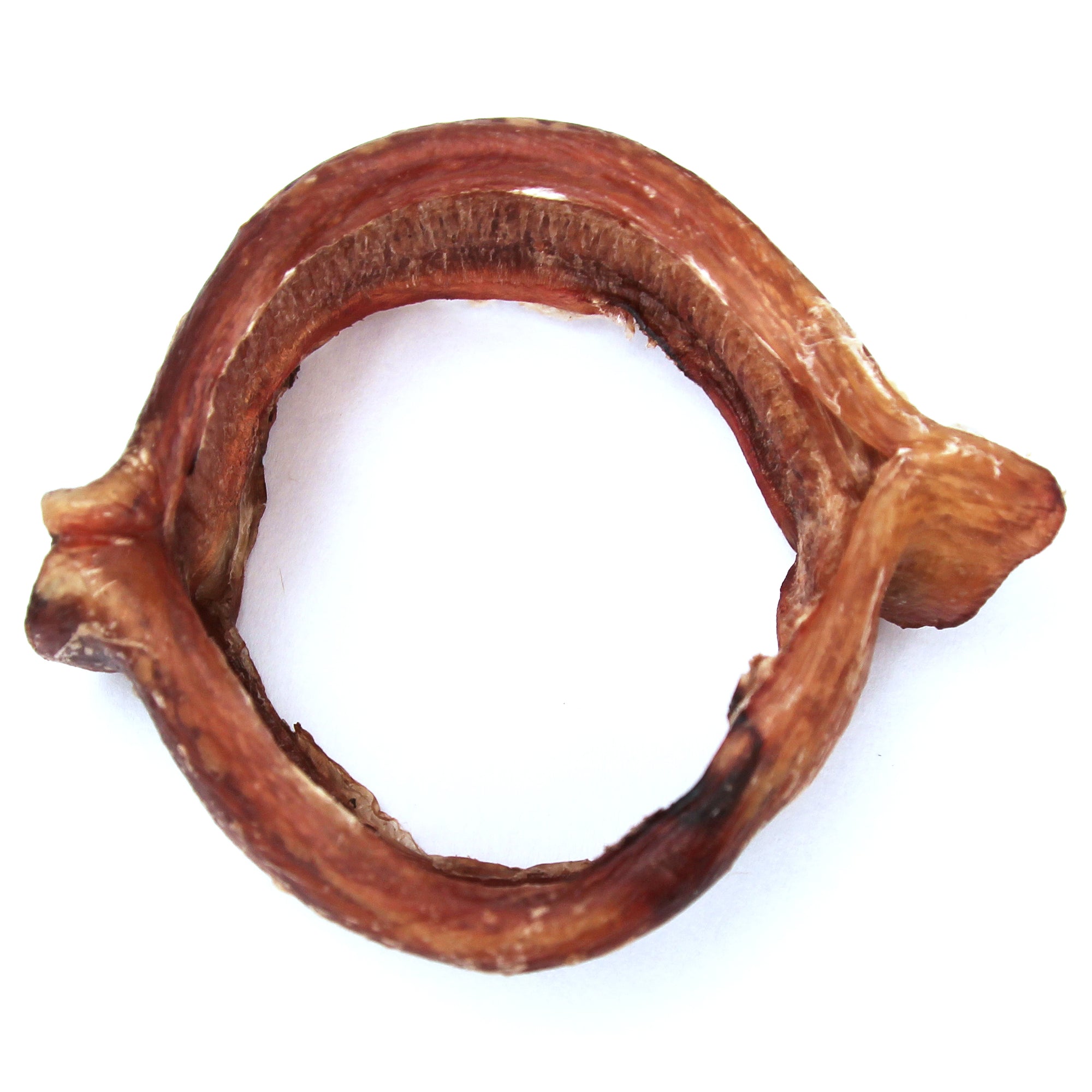 Bully Rings - Odor Free (Bulk) – Tuesday's Natural Dog Company